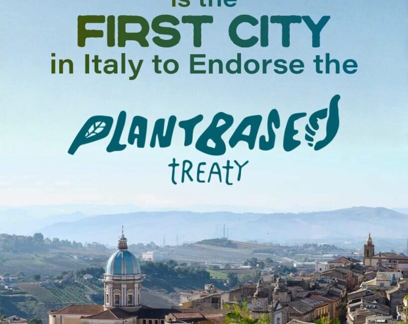 Caltanissetta aderisce al Plant Based Treaty: è la prima città italiana ...